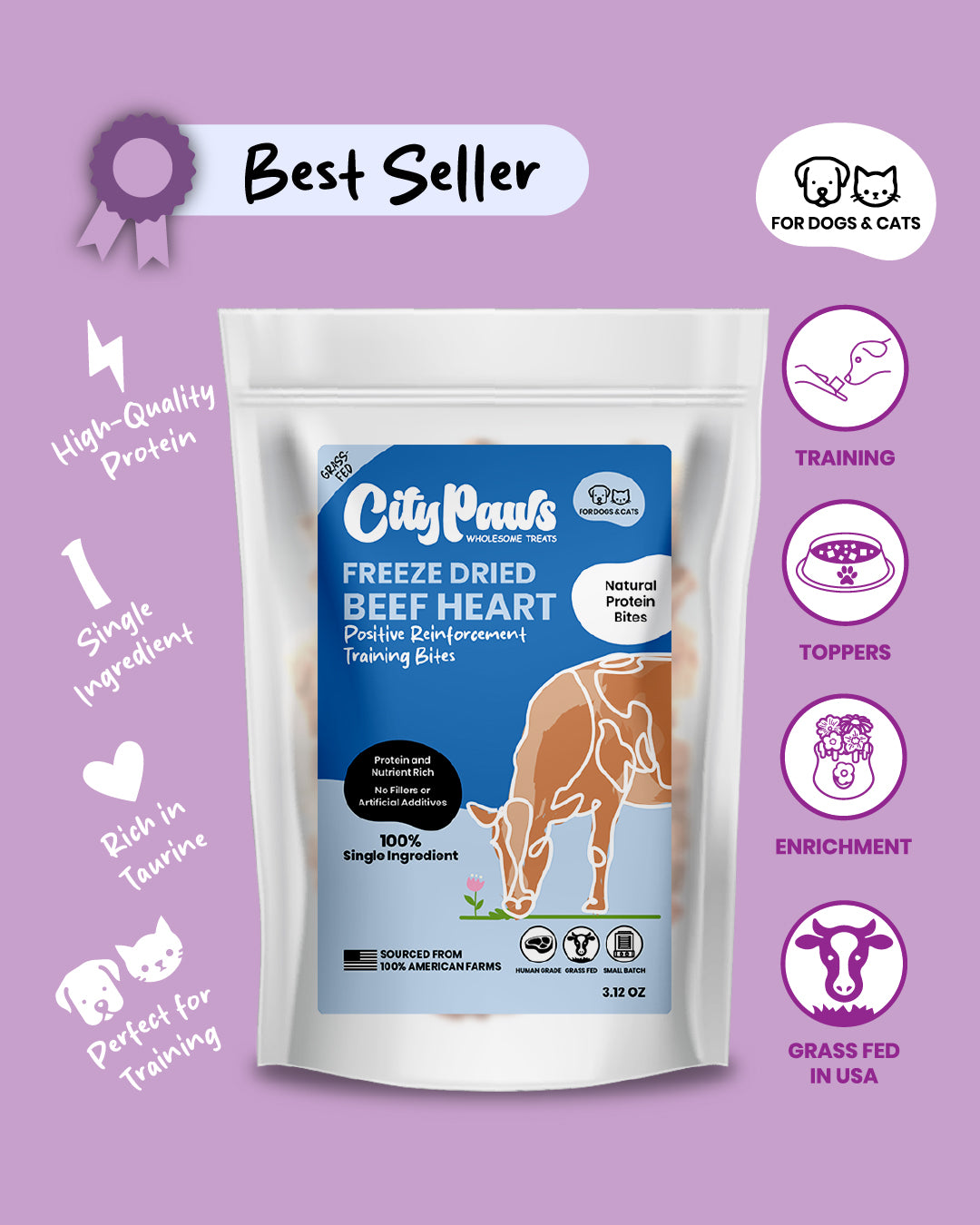 Dog and Cat Treats – City Paws